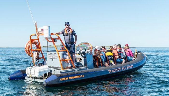 Blacksod Sea Safari | Boat tours County Mayo Ireland